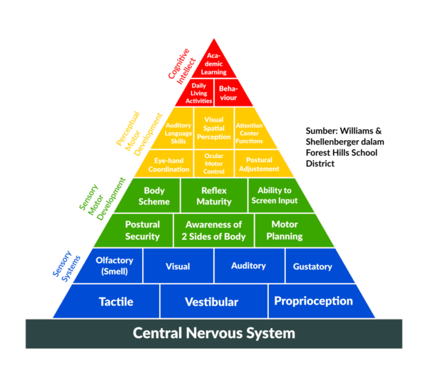 Pyramid of Learning - Klinik Tumbuh Kembang Anak Superkidz